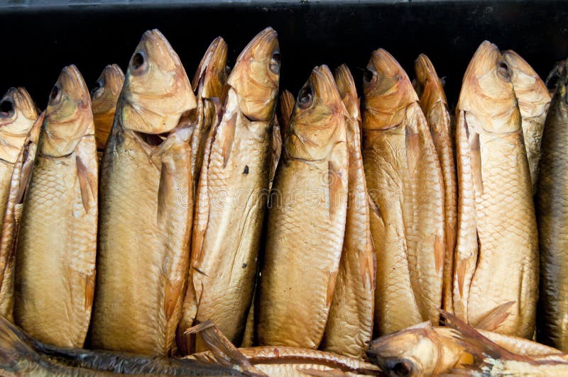 Smoked fish stock image. Image of delicious, smoked, danube - 29467925