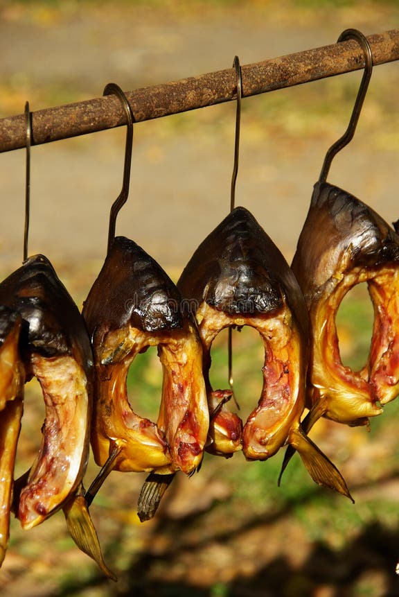 Smoked fish stock image. Image of trout, cure, hang, carp - 7826395