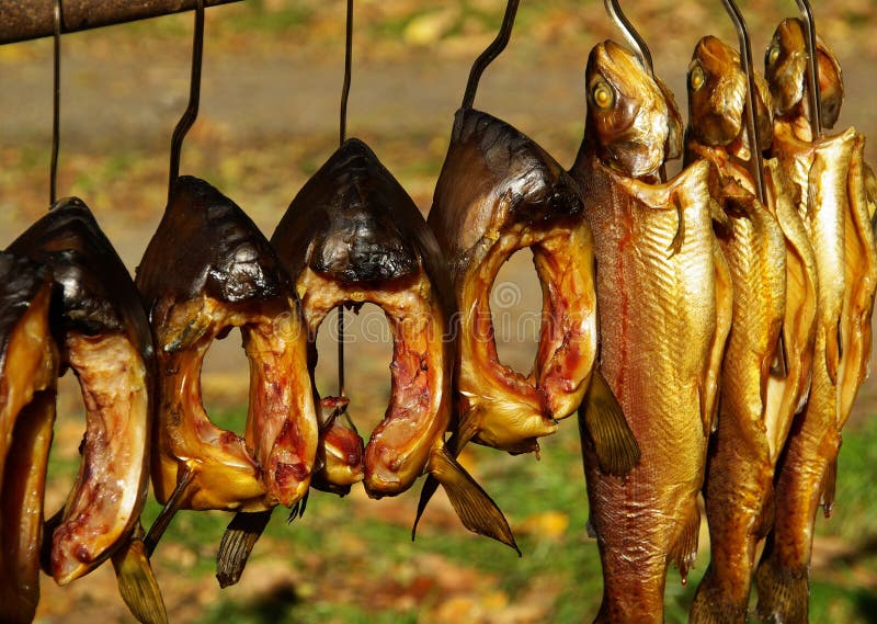 Smoked fish on the market stock photo. Image of diet - 234285708