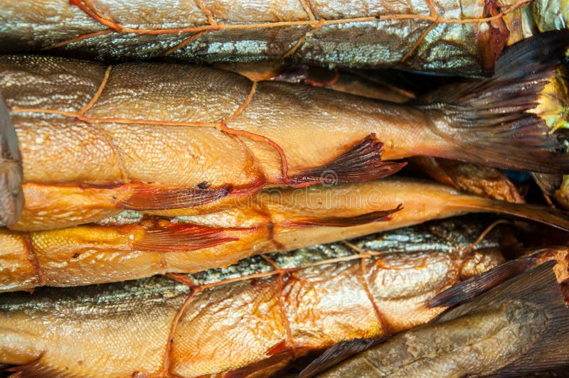 Smoked fish stock photo. Image of nutrition, healthy - 33576528