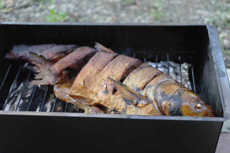 Smoked fish stock image. Image of shiny, fishing, fish - 70146545