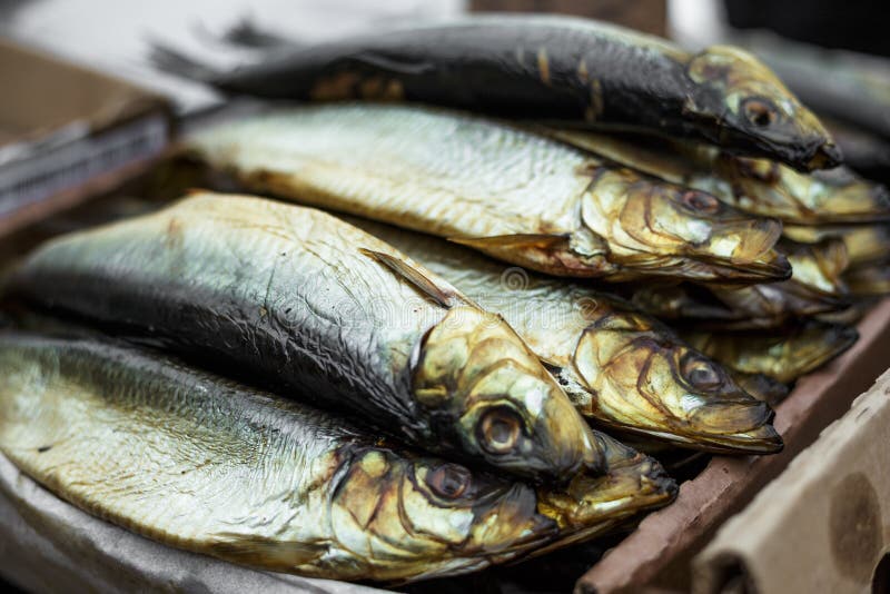 Cold Smoked Fish. Selective Focus on Fishes Heads. Seafood Industry ...