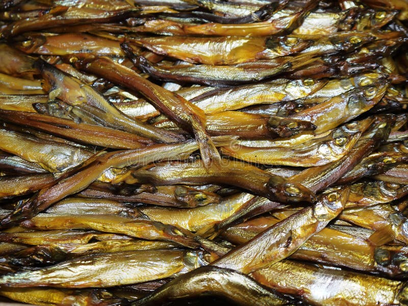 Smoked fish capelin. stock photo. Image of tail, capelin - 26600816