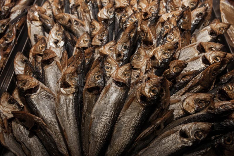 Smoked fish capelin stock photo. Image of salted, delicacy - 95578710