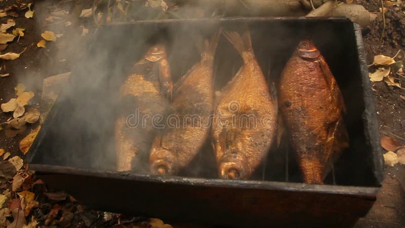 Fish Is Smoked On Hot Smoke Stock Footage - Video of mackerel, fish ...