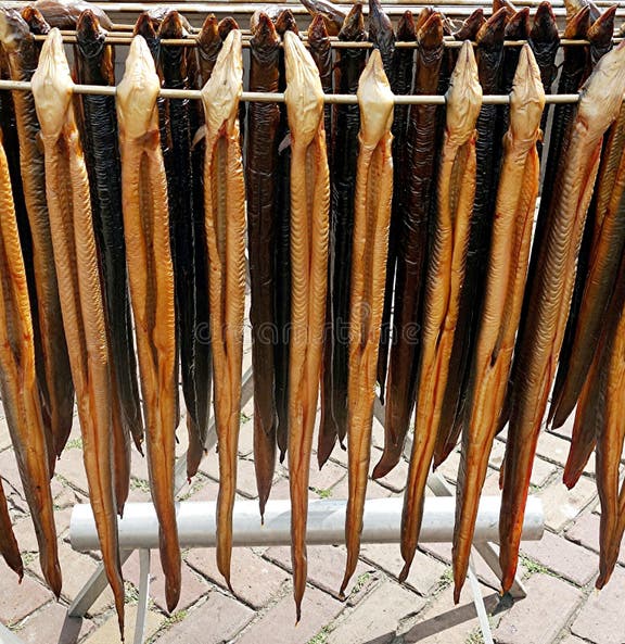 Smoked fish stock photo. Image of fish, smoked, fresh - 33933288