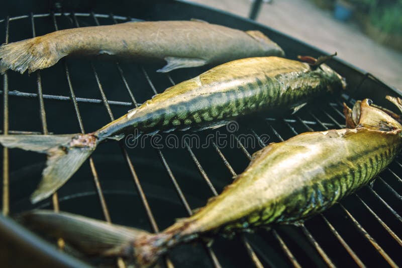 Smoked fish stock photo. Image of mackerel, fire, close - 90246766