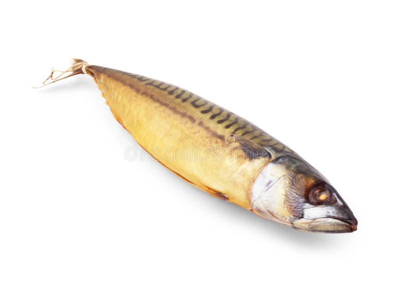 Smoked Fish without the Head Isolated on White Background Stock Photo ...