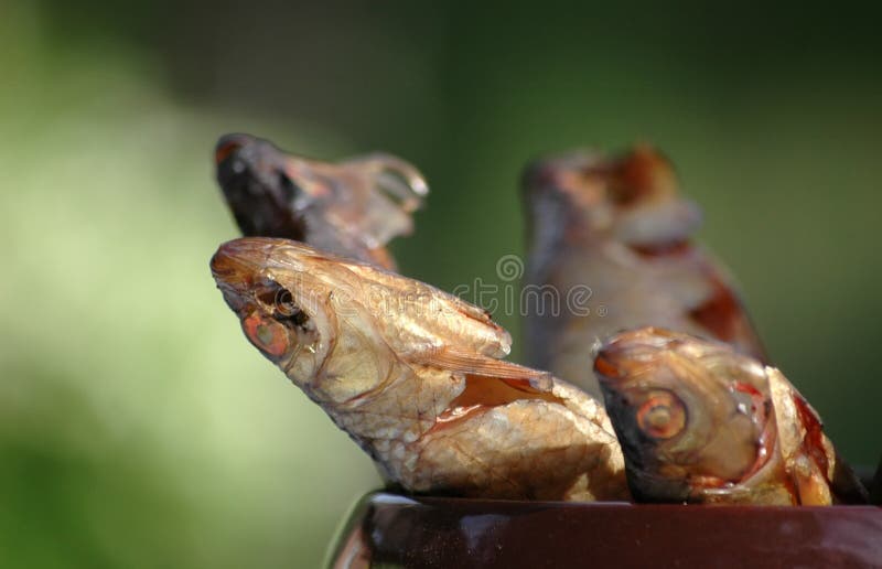 Smoked fish heads stock photo. Image of close, gourmet - 15022218
