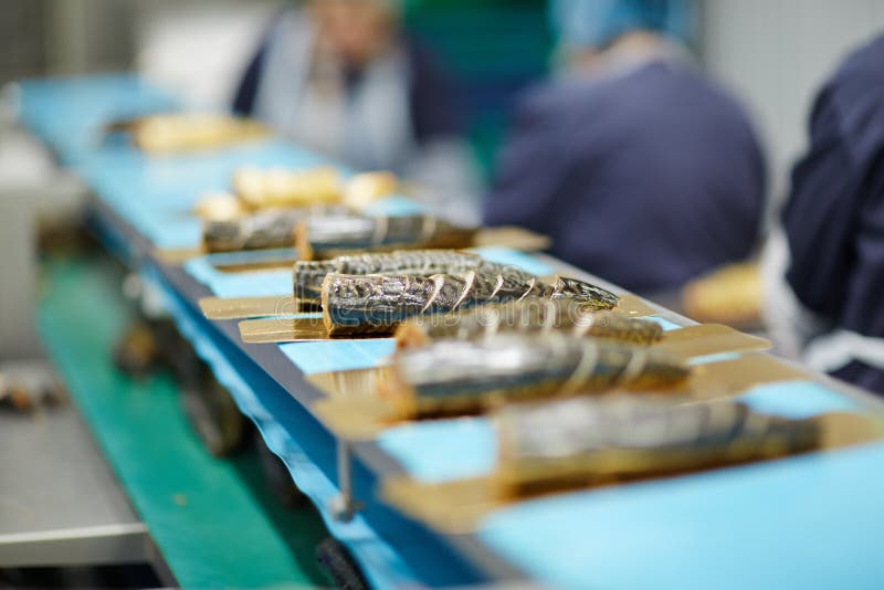 Canning fish stock photo. Image of industry, prepared - 110145396