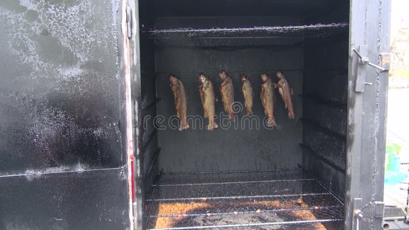 Smokehouse trout stock video. Video of brown, grilled - 59714571