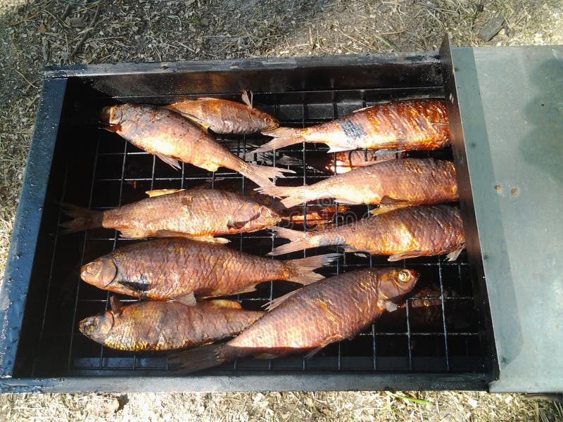 Smoked fish stock image. Image of smokehouse, solar, brown - 97051497