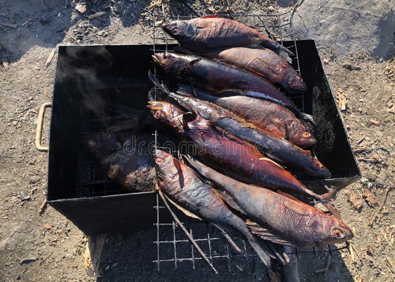 Smoked Fish in the Smokehouse on the Nature in the Summer. Stock Photo ...