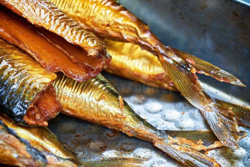 Smoked fish in a tin pan stock image. Image of dinner - 80704197