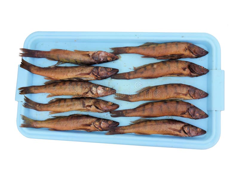 Smoked fish on a tray stock photo. Image of smoked, fishtail - 33416826