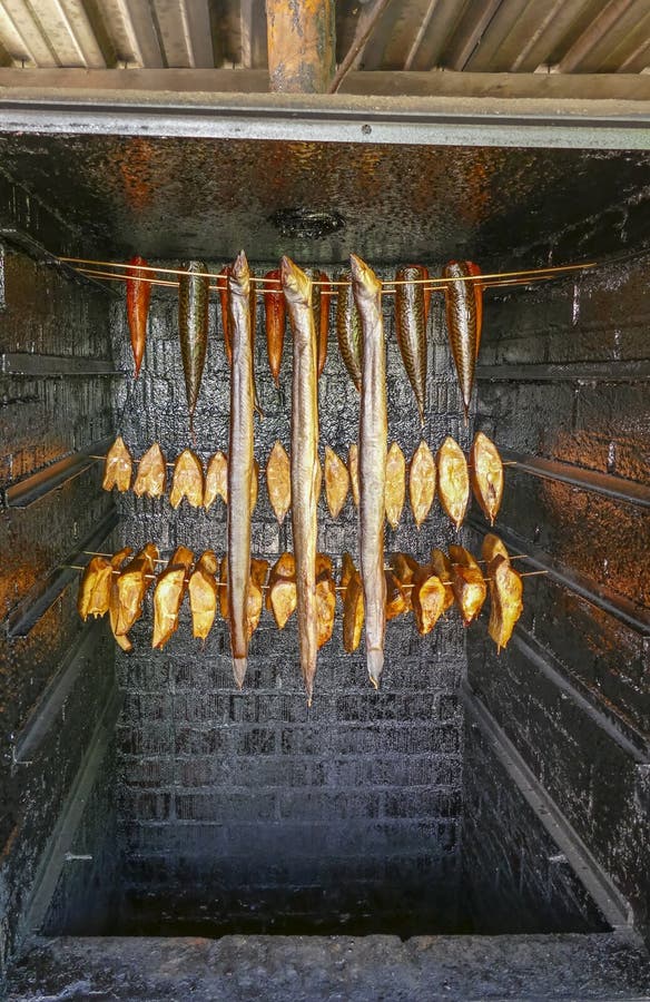 Smoked fish stock photo. Image of smoked, oven, cuisine - 227933894