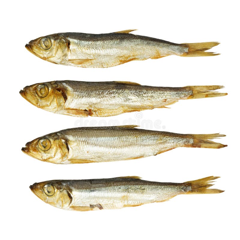 Salted Sprat Fish stock image. Image of organic, omega - 107803769