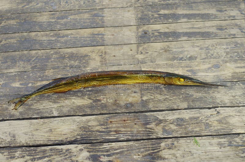 Smoked fish stock image. Image of meat, herring, fish - 82705775