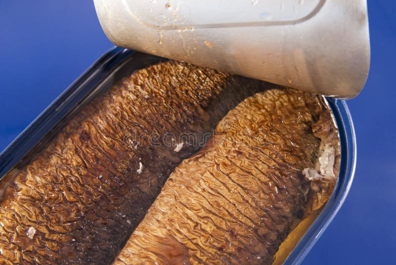 Smoked herring fillets stock image. Image of macro, kipper - 32702779