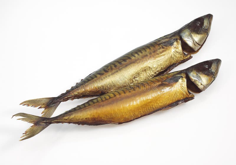 Smoked Mackerel, Scomber Scombrus, Fishes Against White Background ...