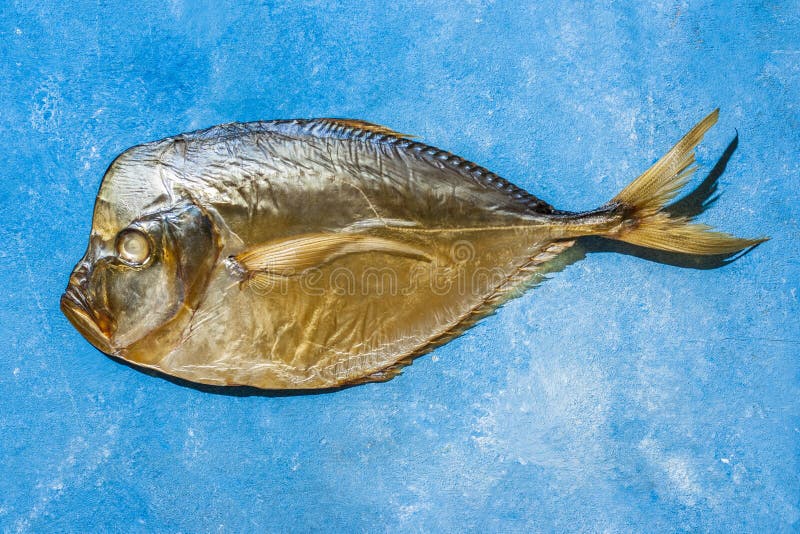 Smoked Oceanic Fish Vomer Selena on a Blue Background. Top View Stock ...