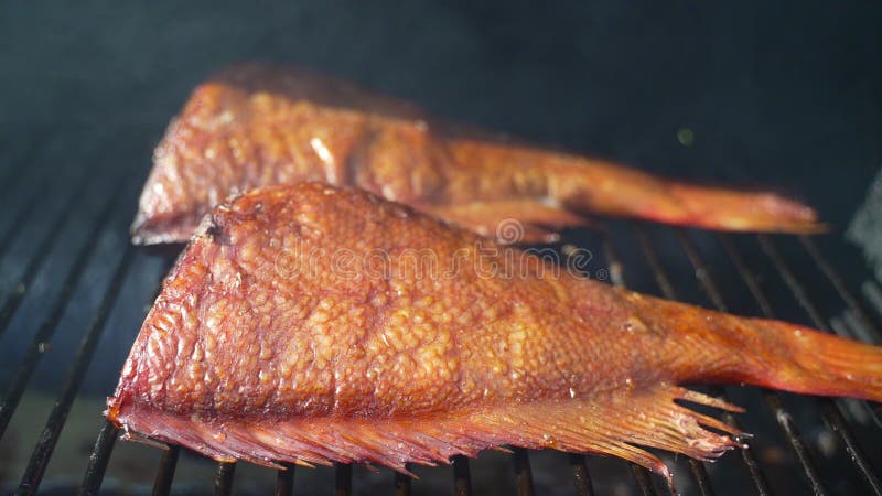 Smoked perch fish stock footage. Video of bass, close - 236838484