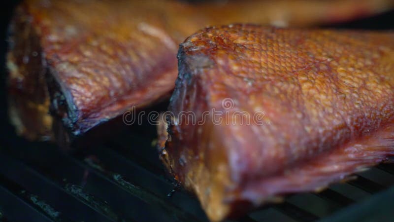 Smoked perch fish stock video. Video of grate, fish - 236838719