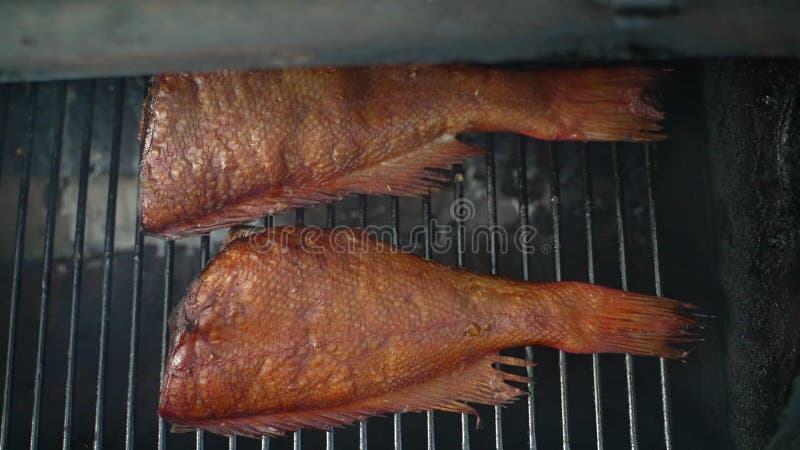 Smoked perch fish stock footage. Video of cuisine, food - 236838752