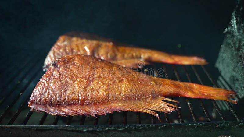 Smoked perch fish stock video. Video of grate, closeup - 236838809