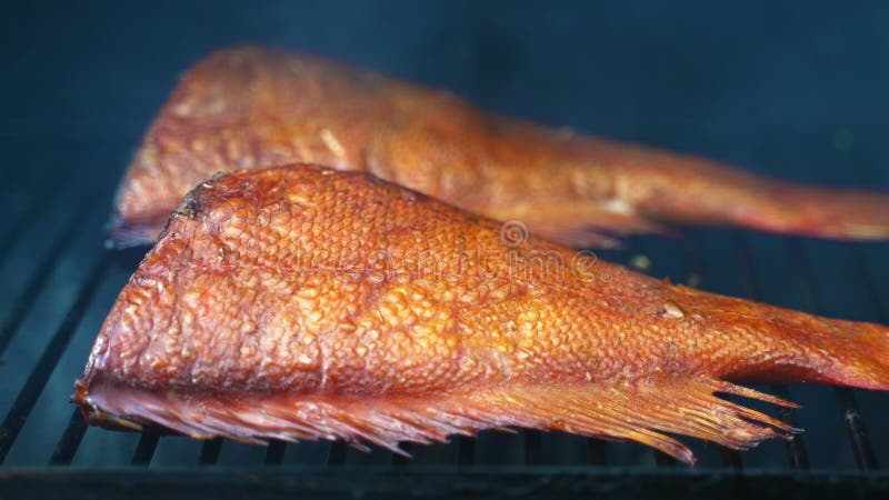 Smoked perch fish stock photo. Image of barbecue, grilled - 237021766