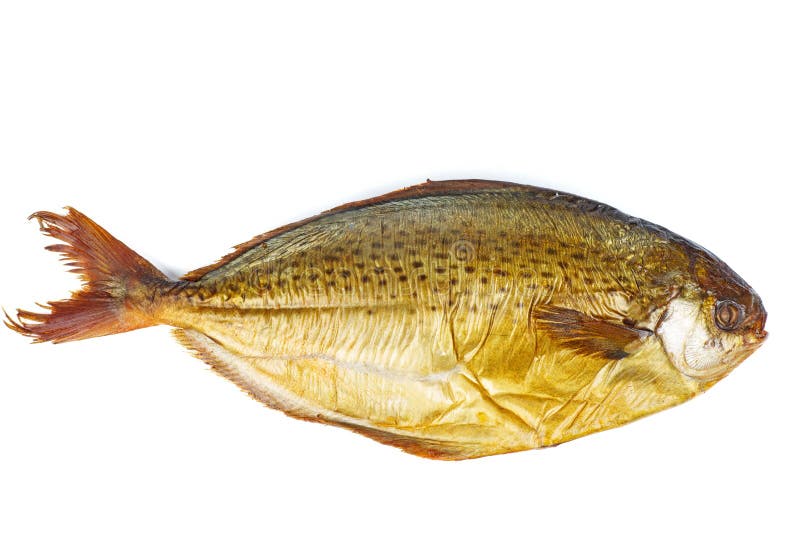 Smoked Pompano Fish Isolated on White Stock Image - Image of ovatus ...