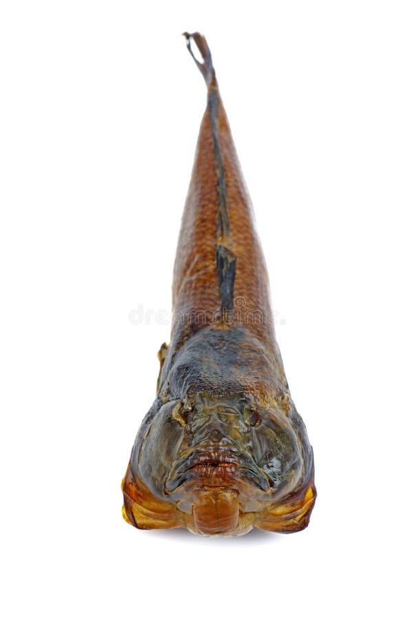 Two Smoked Round Goby Fish Isolated on White Stock Image - Image of ...