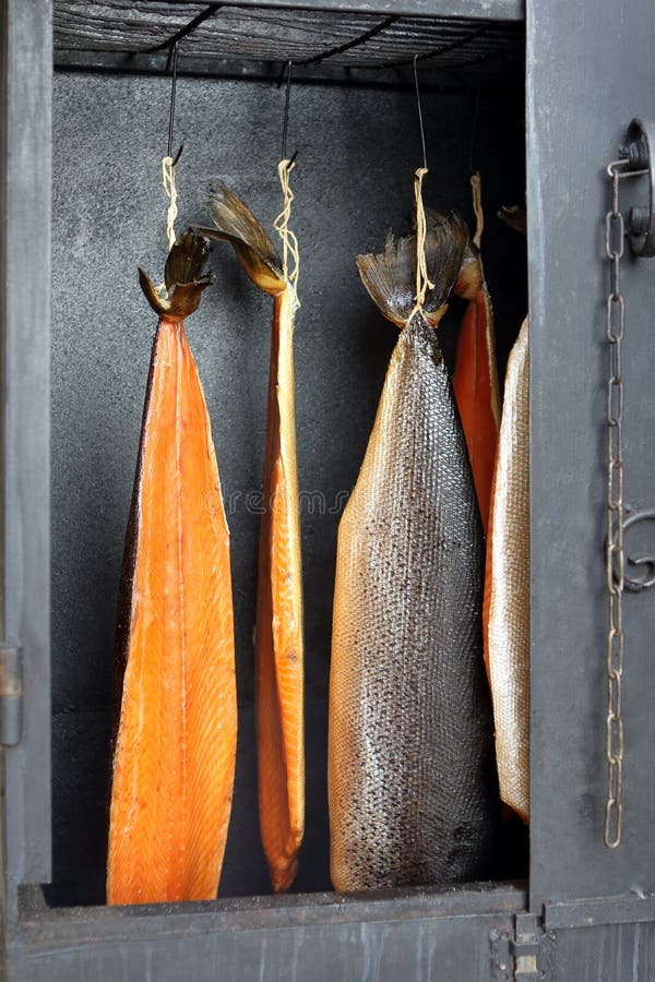 Smoked Salmon Fish in a Smoker Stock Image - Image of smoked, natural ...