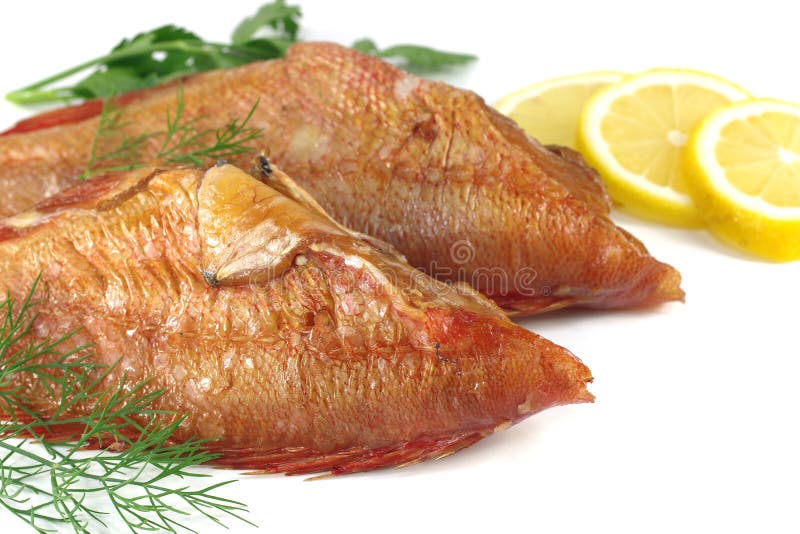 Smoked salwater red fish stock image. Image of fishing - 97396263