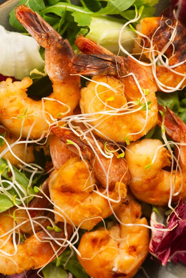 Smoked Shrimp on Fresh Salad with Alfalfa Sprouts Stock Photo - Image ...