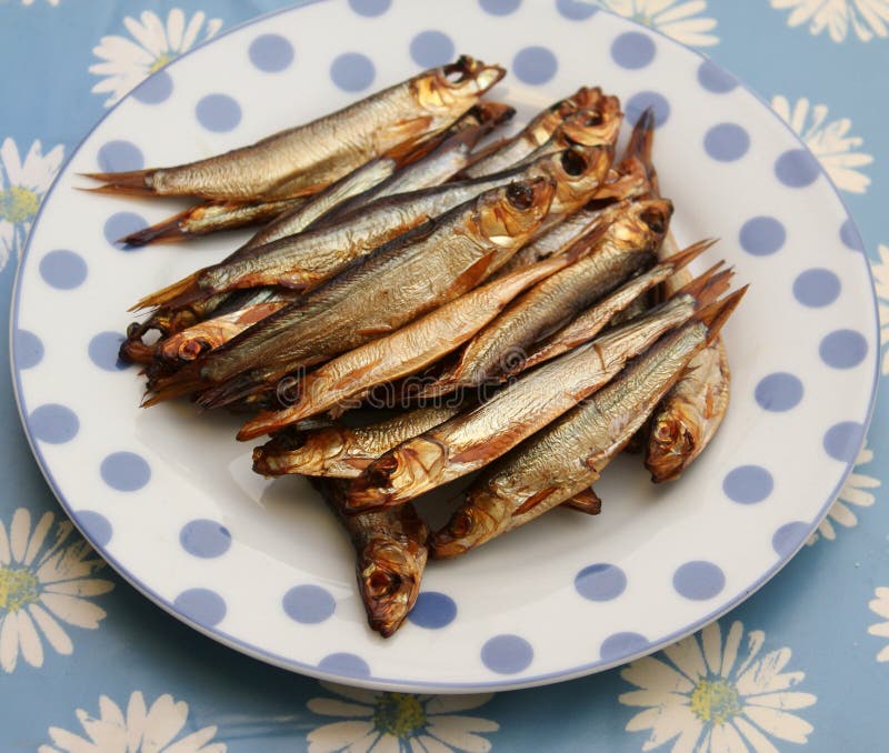 Smoked Sprats stock photo. Image of starter, anchovy - 97245372