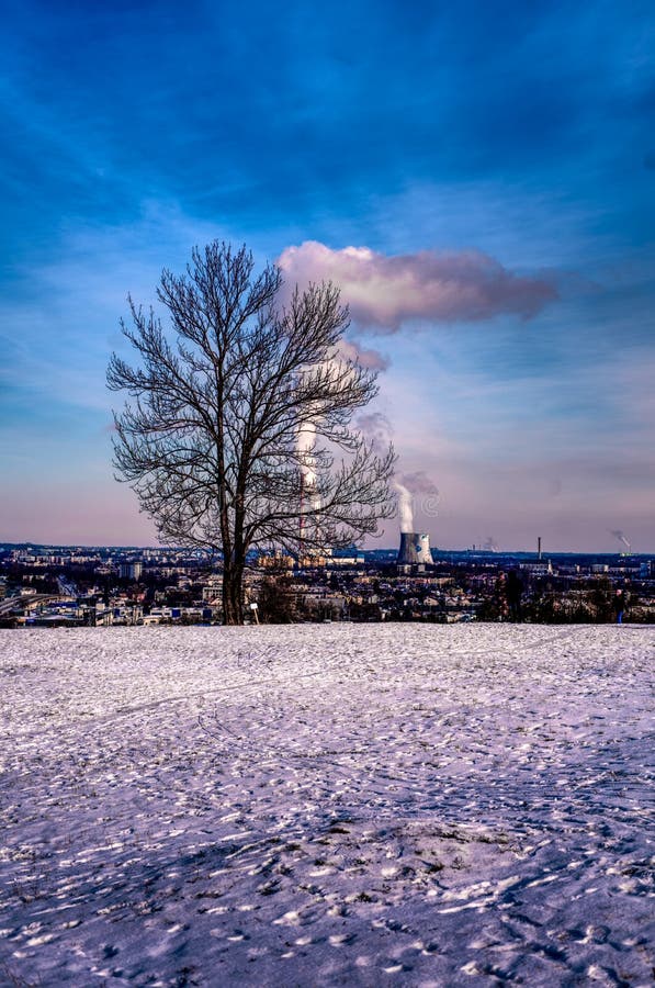 Smoked Tree Over Cracow - Winter Scenery Stock Image - Image of park ...