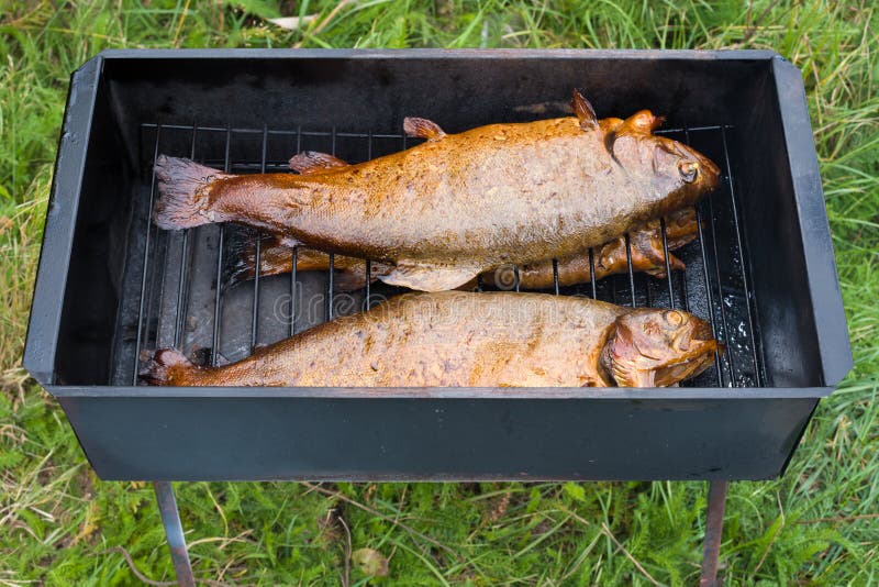 Smoked Fish Baikal Golomyanka Comephorus Baikalensis Stock Image ...