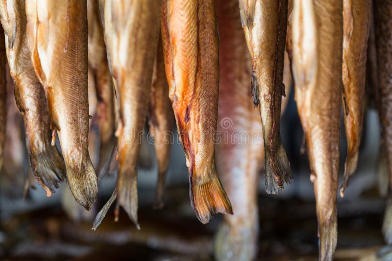 Smokehouse with Smoked Fish Stock Image - Image of cuisine, house: 78116647