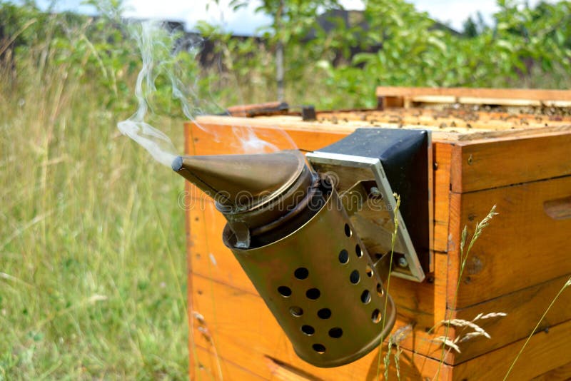 Smoker on the beehive stock photo. Image of multi, ruth - 90848434