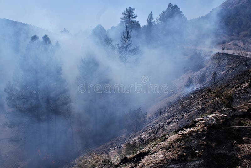 Smokey Forest Fire stock photo. Image of mountain, desert - 97226508