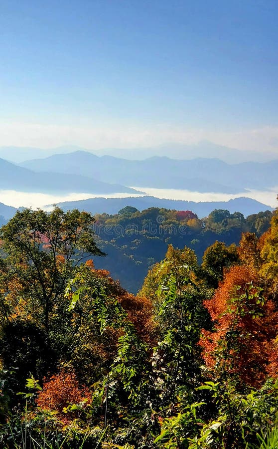 Smokey Mountains in Early Fall Stock Image - Image of hill, flower ...