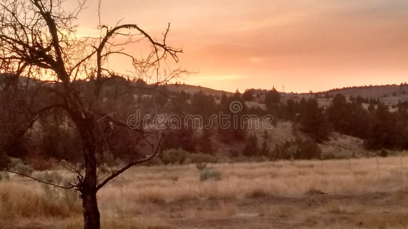 Smokey wildfire haze stock image. Image of wildfire - 102464373