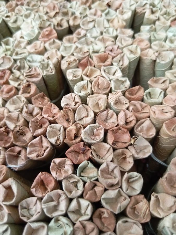 Beedi Sikarat stock image. Image of cancer, sikarat - 263067075