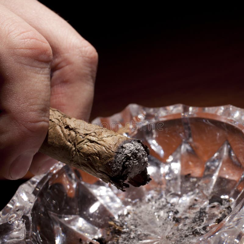 Smoking Cigar stock image. Image of smoke, detail, fumes - 19242859