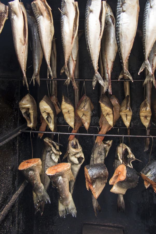 Smoke Chamber Fish Stock Photos - Free & Royalty-Free Stock Photos from ...