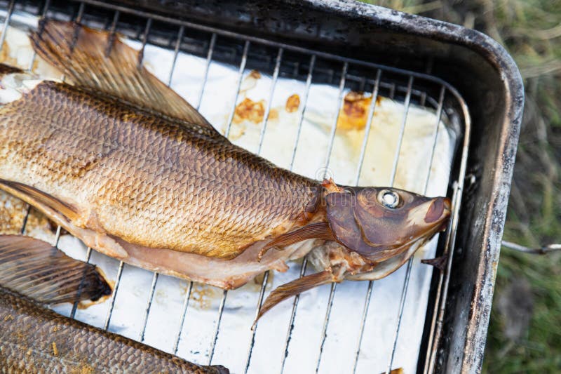 Smoking Fish in the Hot Smoke Machine - Norway Stock Image - Image of ...