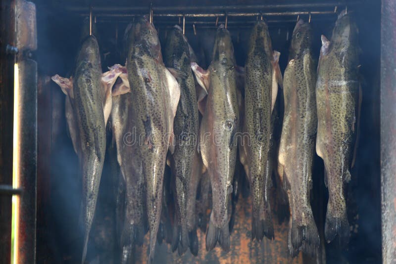 225 Fish Smoking Process Stock Photos - Free & Royalty-Free Stock ...