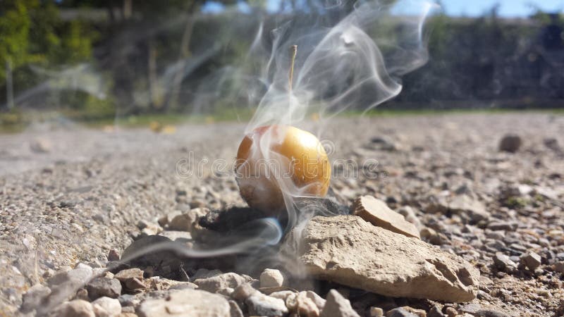 Smoking Fruit stock photo. Image of nature, smoke, smoking - 79559464