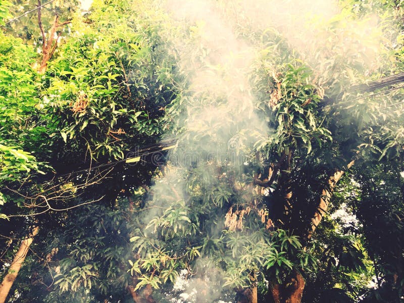 Smoking stock image. Image of smoking, nature, give, breath - 78764833